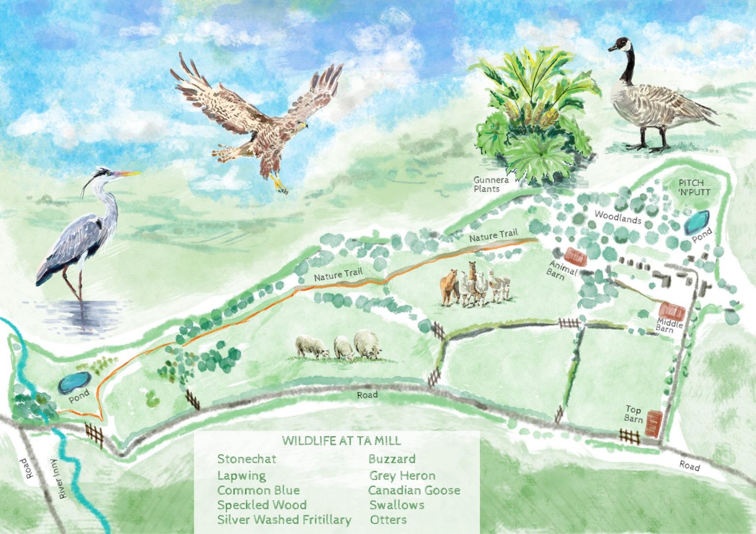 Testimonials - what do the customers have to say about Ta Mill